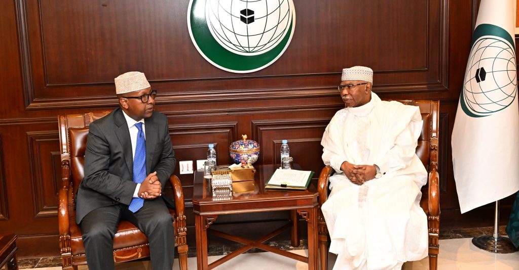 OIC Secretary General Receives Somali Foreign Minister - Federation of ...