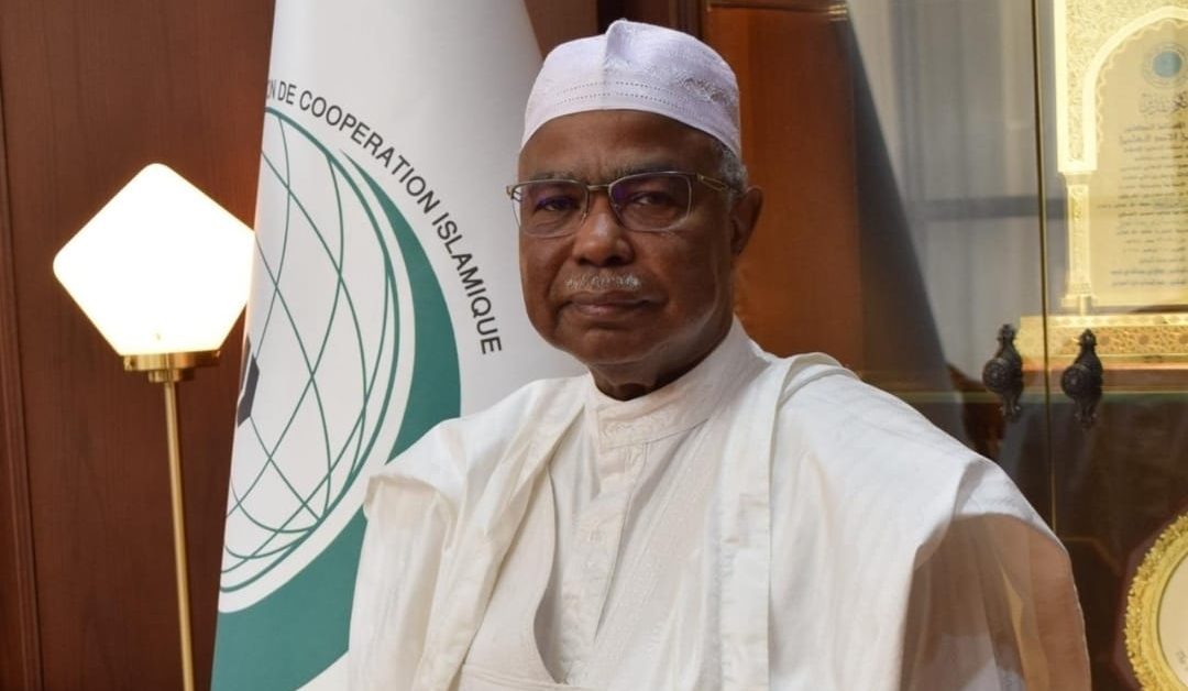 OIC stresses importance of engaging in international coalition to ...