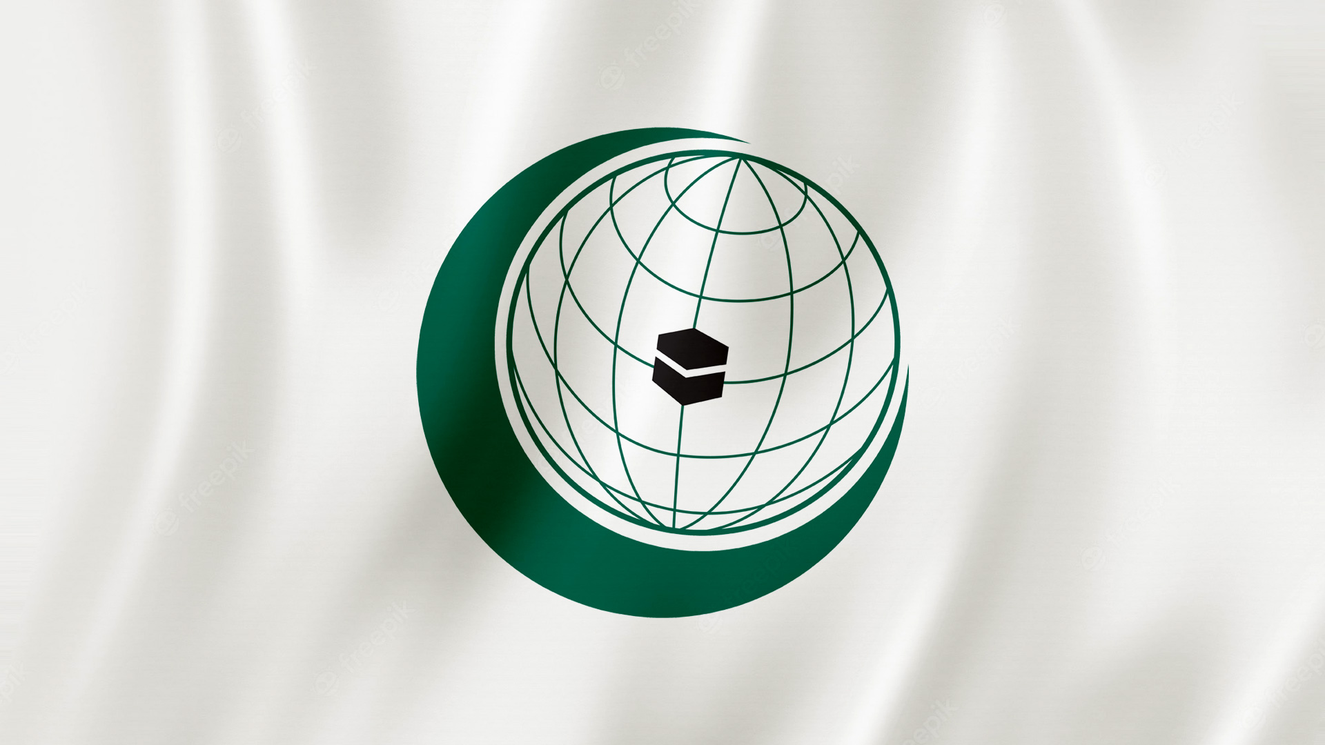OIC General Secretariat Renews Strong Support for Right to Self ...