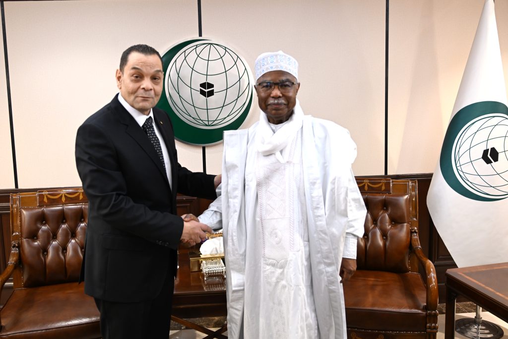 OIC Secretary General receives new Permanent Representative of the ...